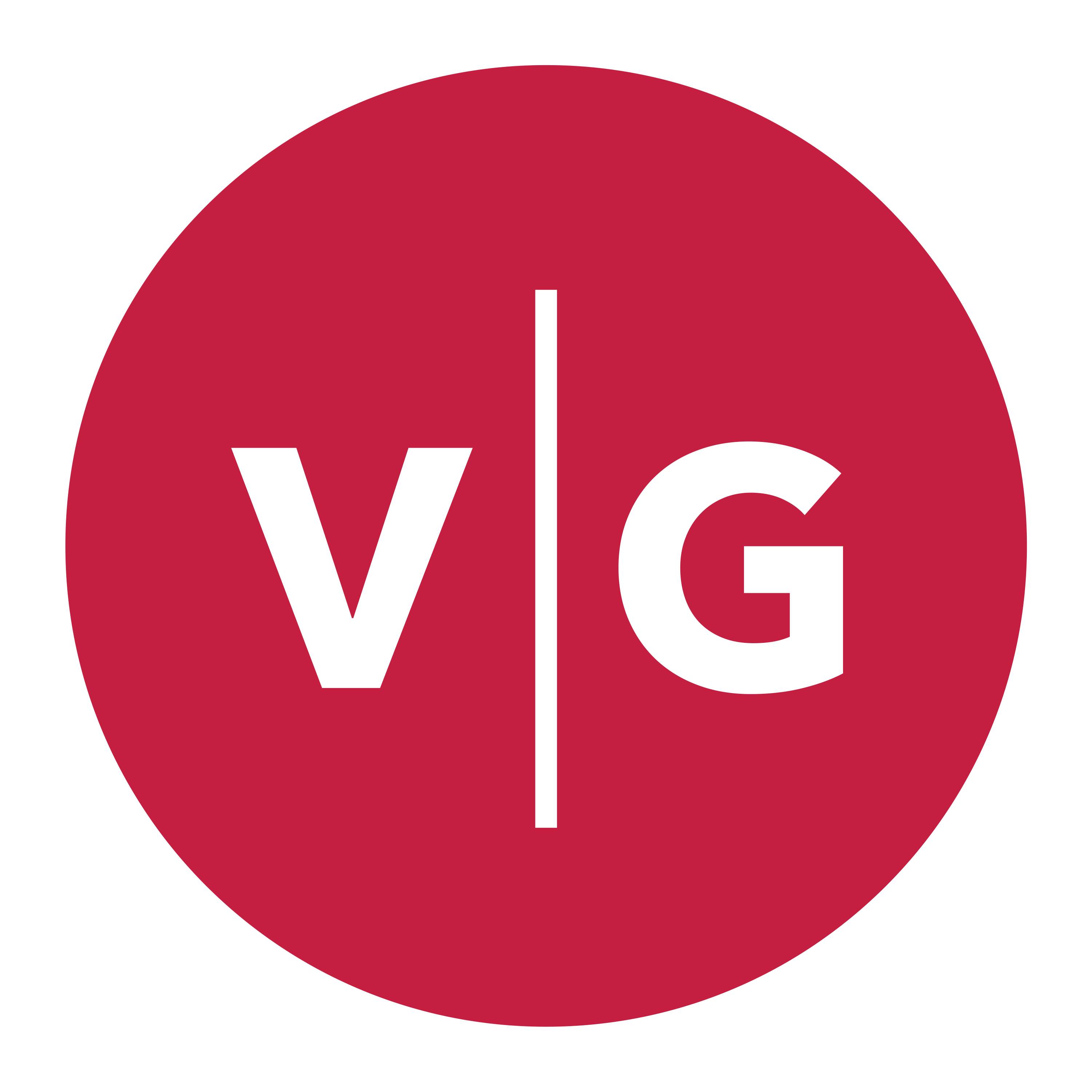 Vgx Logo
